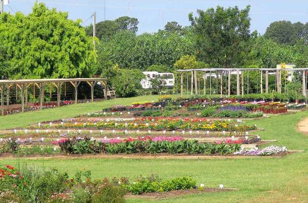 Midweek Program with Raulston Arboretum on Wednesdays - Triangle on the ...