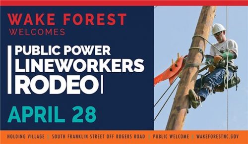 2018 Public Power Lineworkers Rodeo - Triangle on the Cheap
