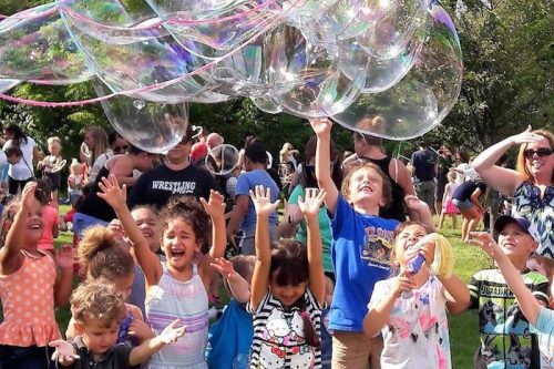 Free Bubble Festival in Chapel Hill - Triangle on the Cheap