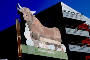 50 Cheap Dates in the Triangle - Triangle on the Cheap