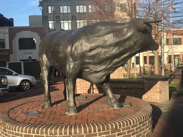 Major the Bull's 15th Birthday Celebration (including free cupcakes ...