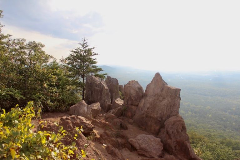 Photo guide to hiking 12 North Carolina State Parks - Triangle on the Cheap