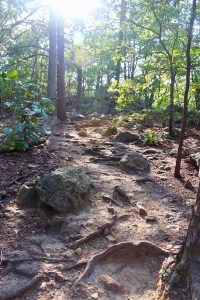 Photo guide to hiking 12 North Carolina State Parks - Triangle on the Cheap