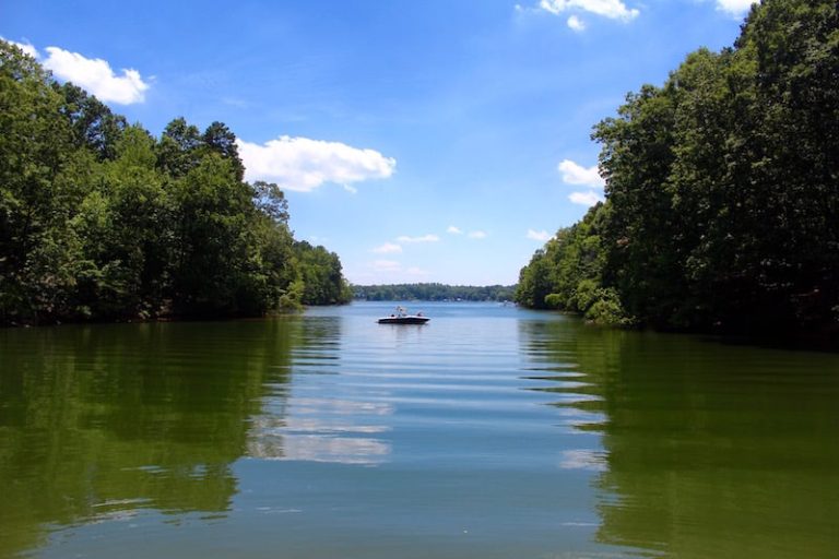 Photo guide to hiking 12 North Carolina State Parks - Triangle on the Cheap