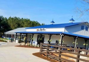 Blackberry picking (wheelchair accessible, plus rain or shine) at Eno ...