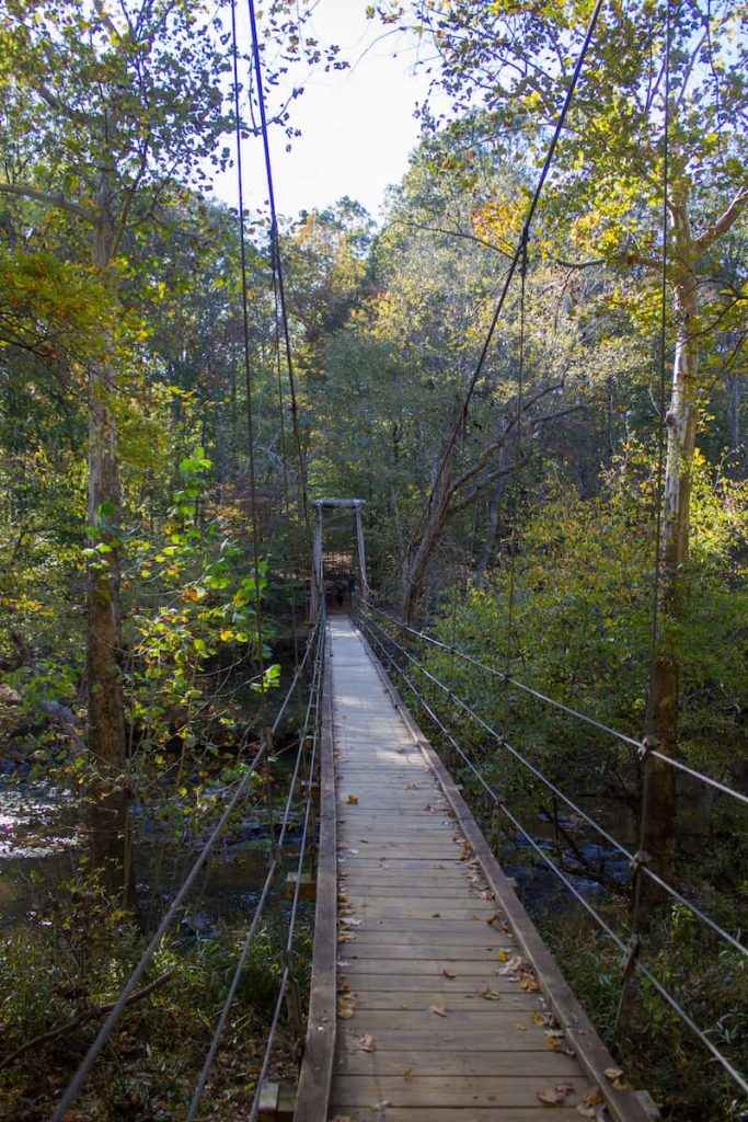 Photo guide to hiking 12 North Carolina State Parks - Triangle on the Cheap
