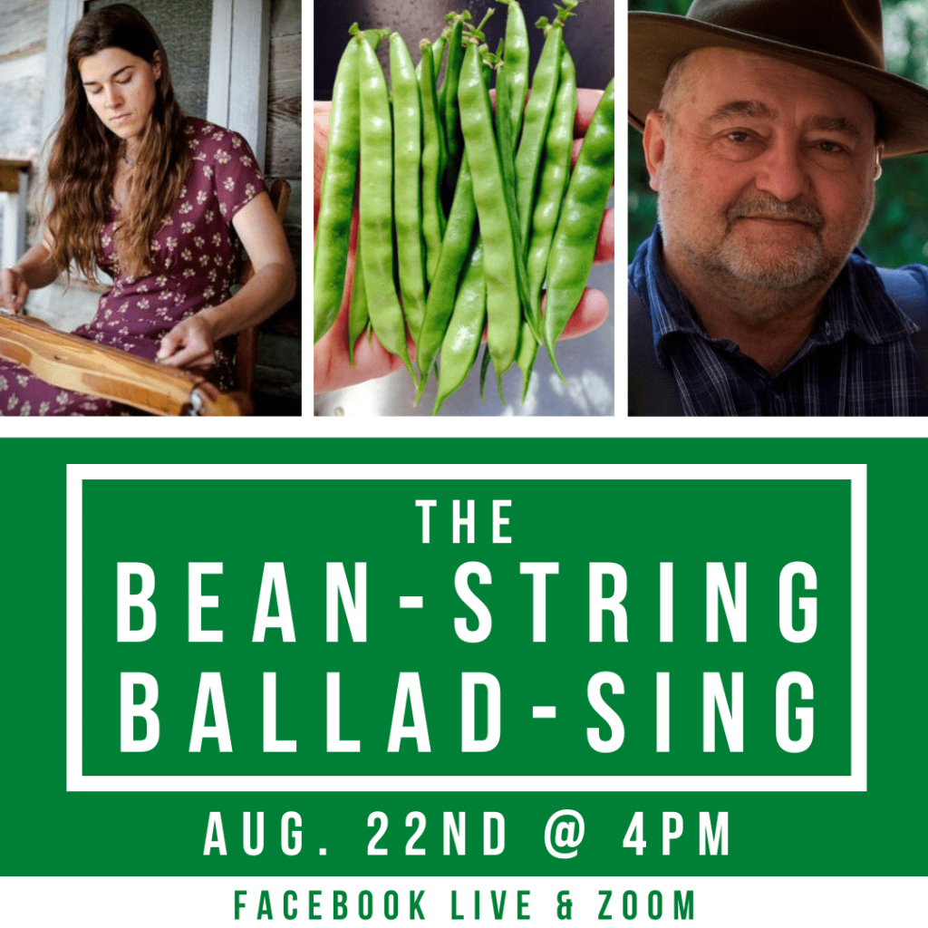 The Bean-String Ballad-Sing - Triangle on the Cheap