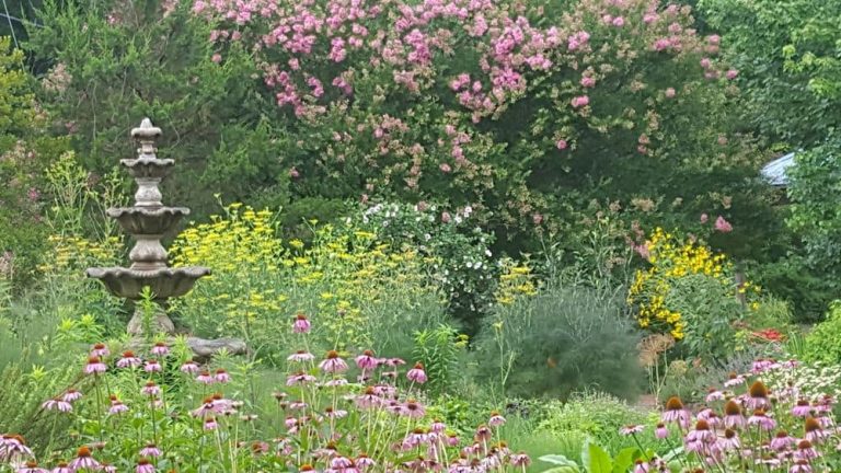 10 botanical gardens to visit in the Triangle, including a map ...