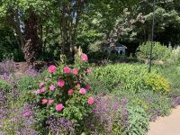 10 botanical gardens to visit in the Triangle, including a map ...