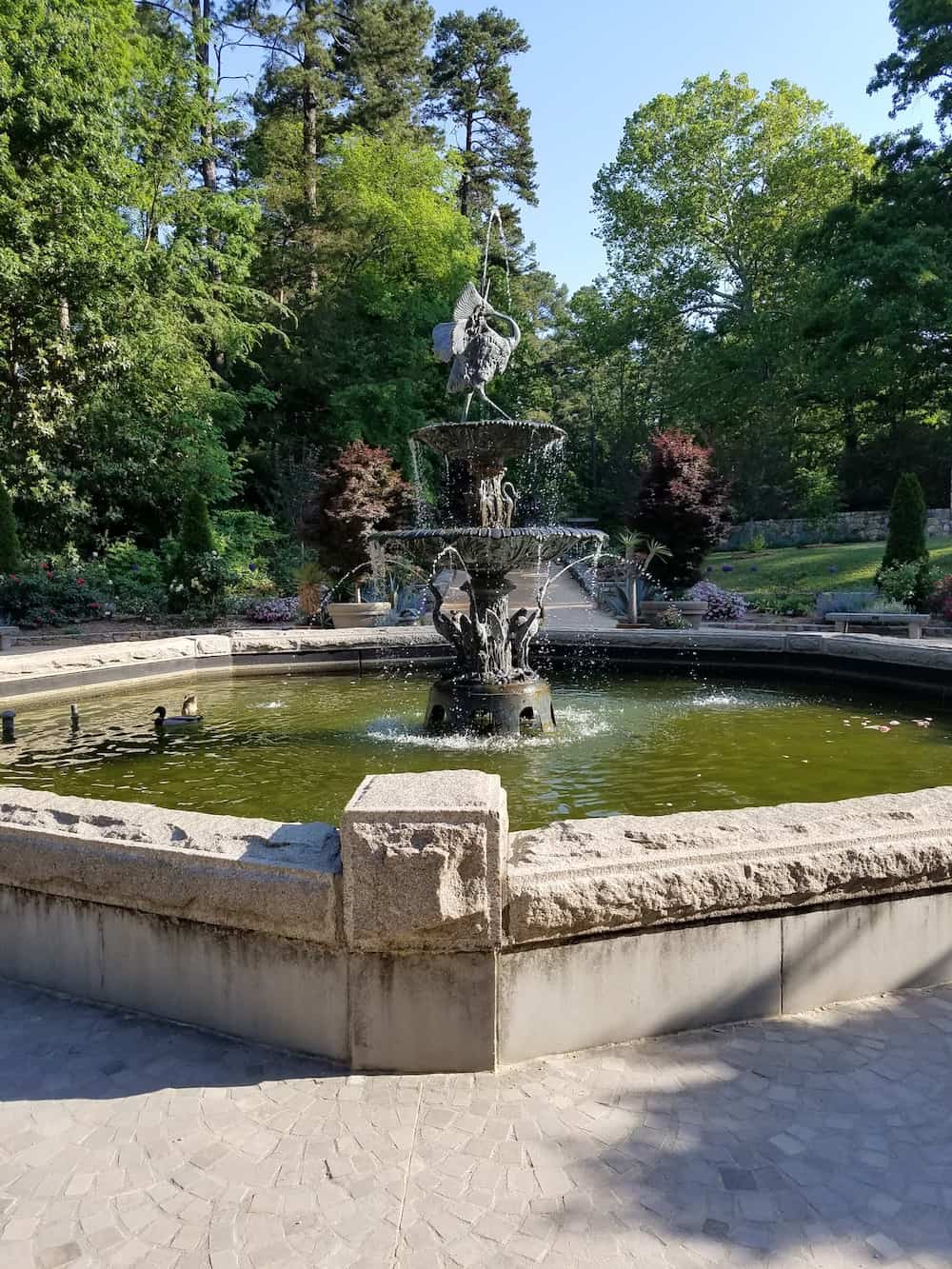 Guide to Visiting Sarah P. Duke Gardens All Year - Triangle on the Cheap