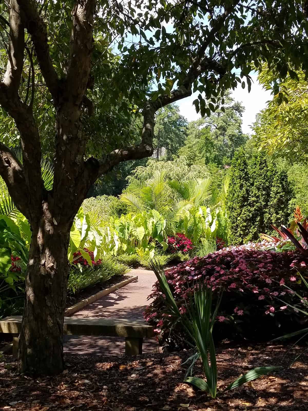 Guide to Visiting Sarah P. Duke Gardens All Year - Triangle on the Cheap