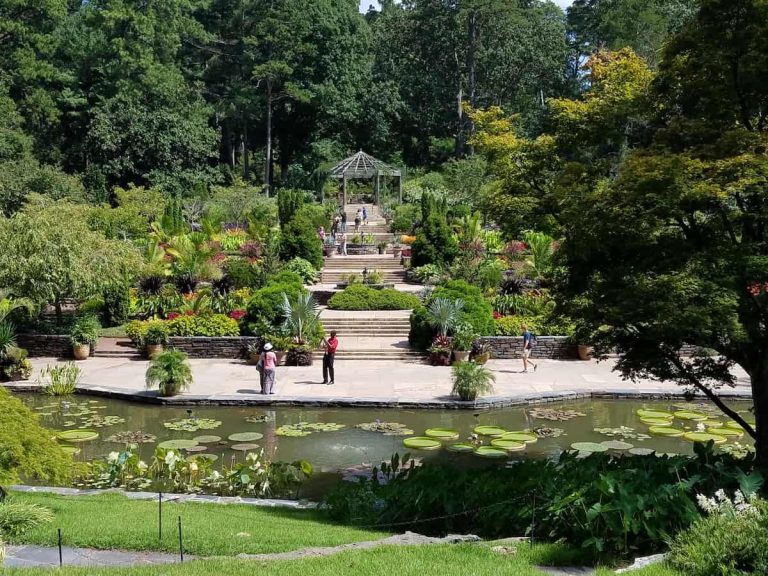 Free And Cheap Things To Do In Durham Triangle On The Cheap