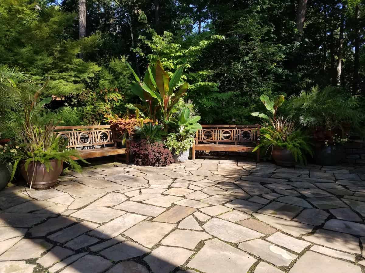 Guide to Visiting Sarah P. Duke Gardens All Year - Triangle on the Cheap
