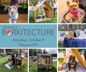 Triangle Barkitecture - pet architecture and design competition - Triangle on the Cheap