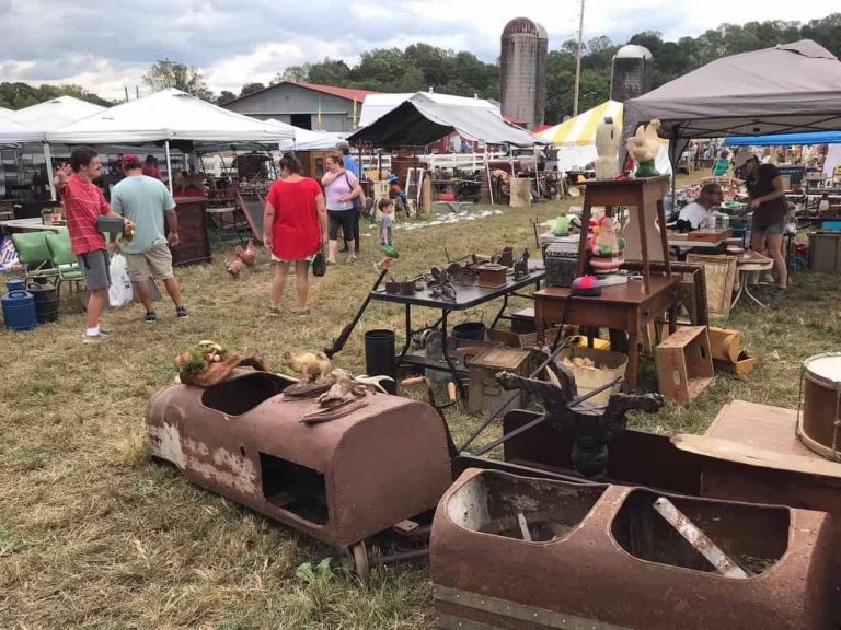 Updated! 50+ Spring festivals in the Triangle in 2026 - Triangle on the ...