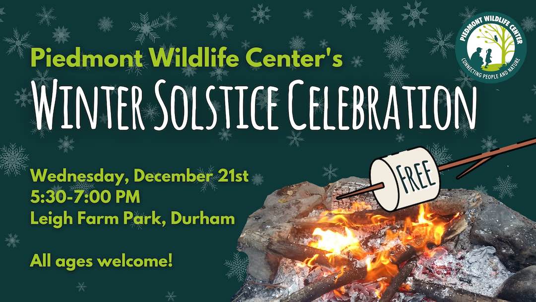 Celebrate winter solstice in the Triangle with a lantern walk ...