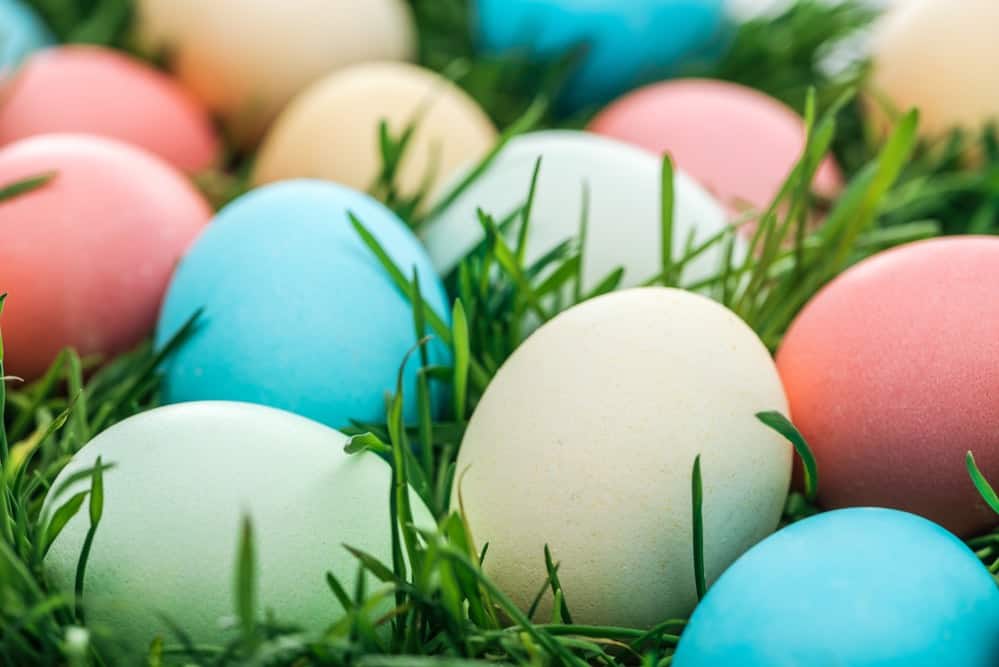 Spring Fling In Holly Springs Egg Hunt Inflatables More