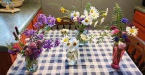 Firefly Farm's U-pick flower season starts May 10 - just in time for ...