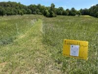 Firefly Farm's U-pick flower season starts May 10 - just in time for ...