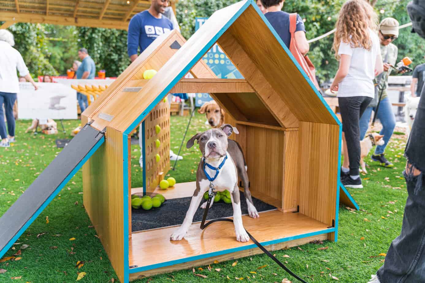 Triangle Barkitecture - pet architecture and design competition at Downtown Cary Park - Triangle ...