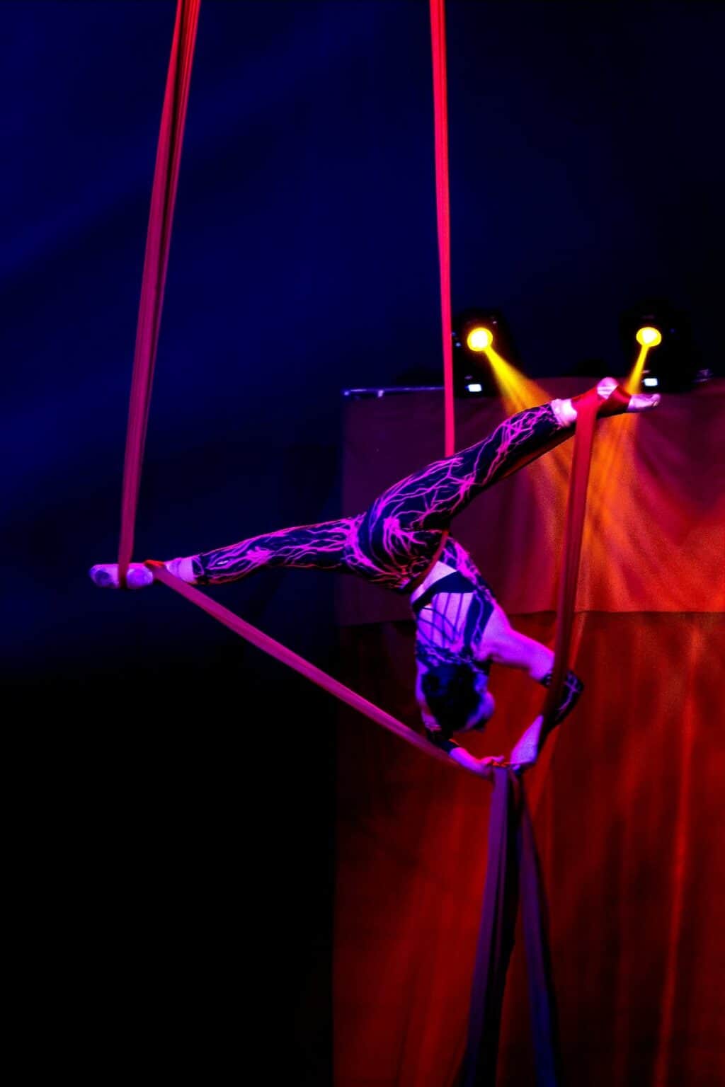 Winners announced for Do Portugal Circus in Raleigh: Win Family Pack of ...
