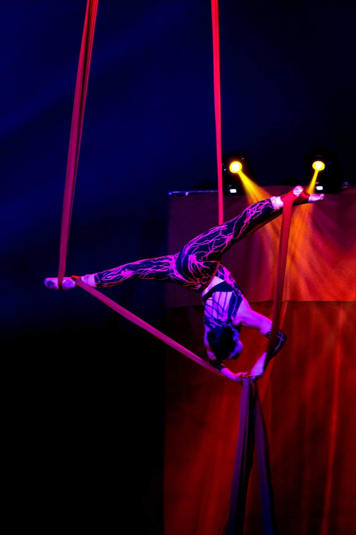 Winners announced for Do Portugal Circus in Raleigh: Win Family Pack of ...