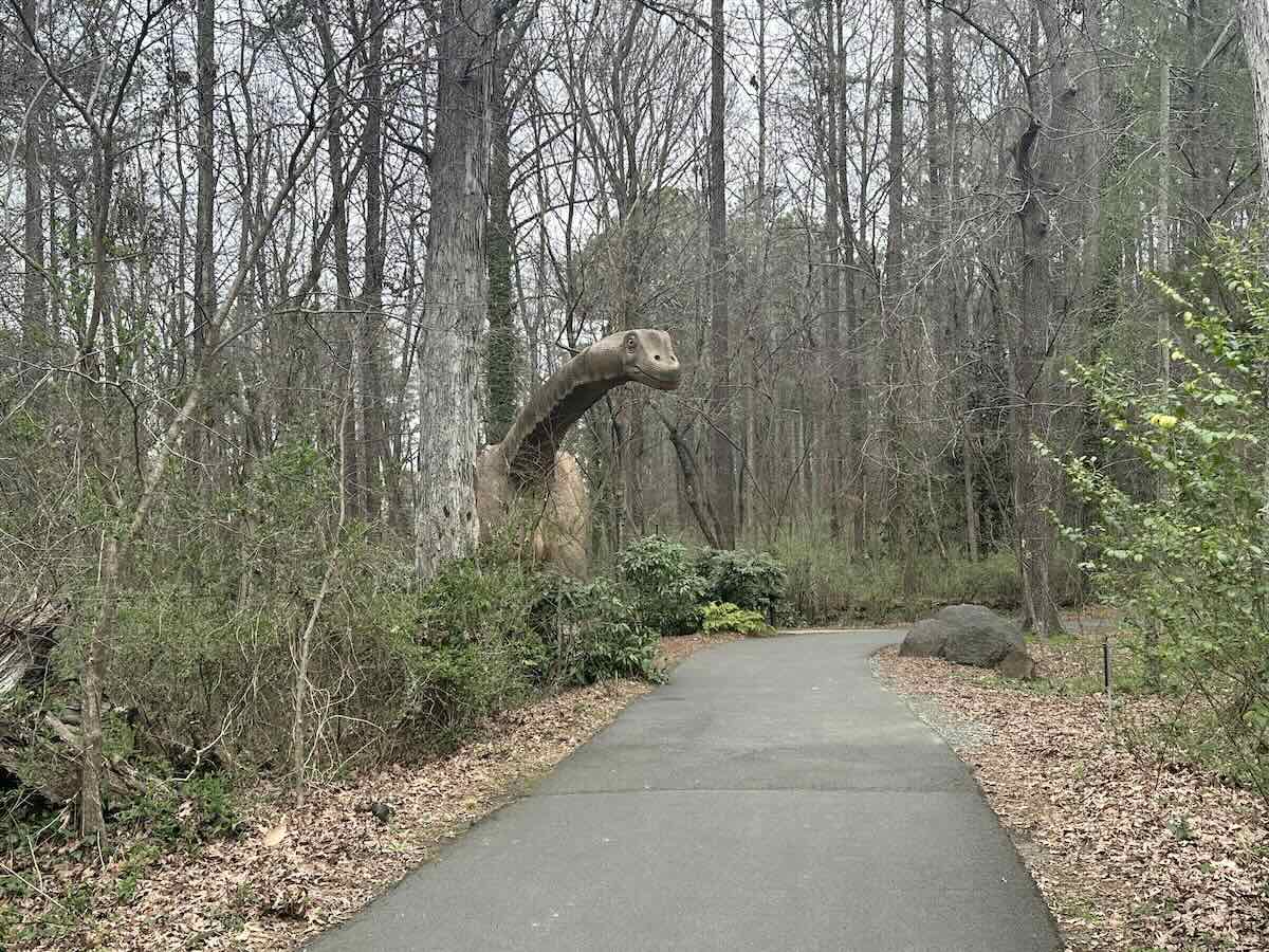 Museum of Life and Science free for Durham residents Jan. 11 and 28 ...