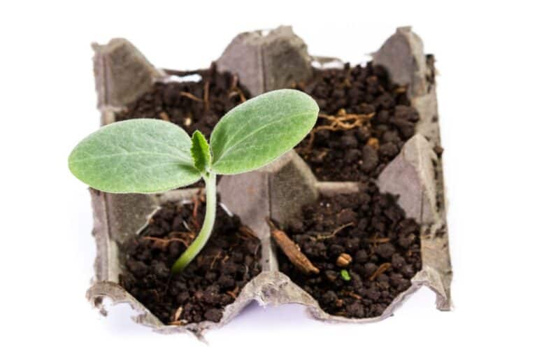 10 Earth Day Crafts for Kids - Triangle on the Cheap
