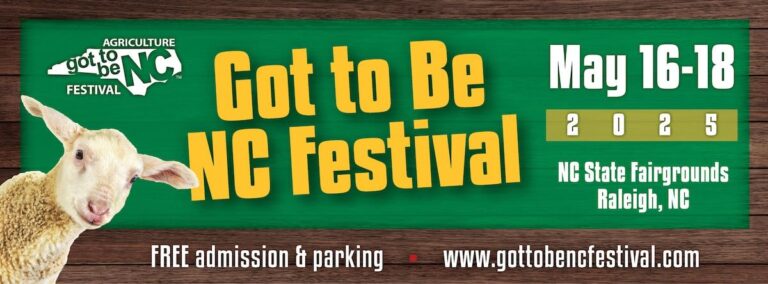 Big List of Spring festivals in the Triangle in 2025 - more added ...