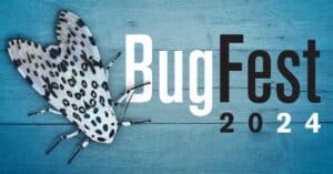 40+ fall festivals in the Triangle 2024 - Triangle on the Cheap