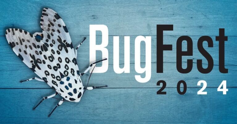 40+ fall festivals in the Triangle 2024 - Triangle on the Cheap