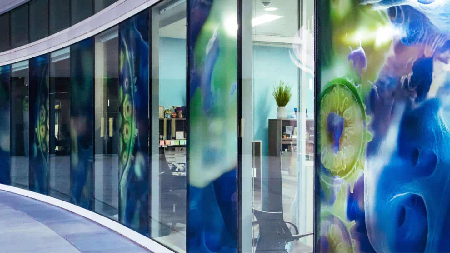 A(spora): Augmented Reality Art Installation at Chavis Community Center ...