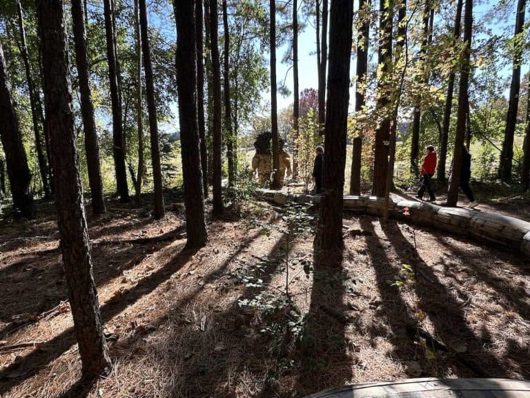 How to see the Thomas Dambo Trolls at Dix Park (and the rest of North ...