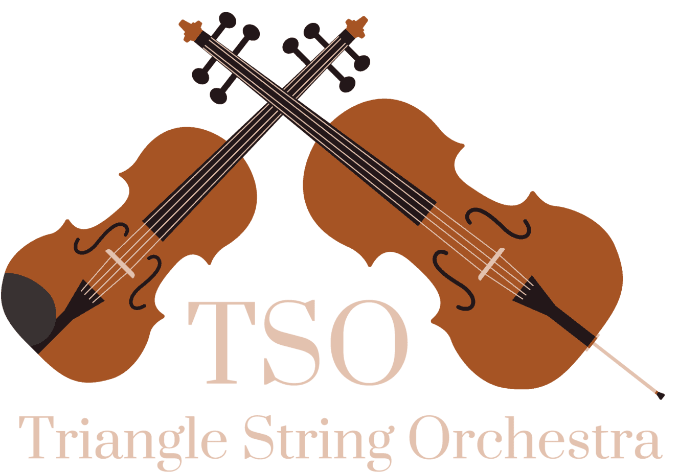 Triangle String Orchestra's Free Holiday Concert Dec. 10 - Triangle on ...